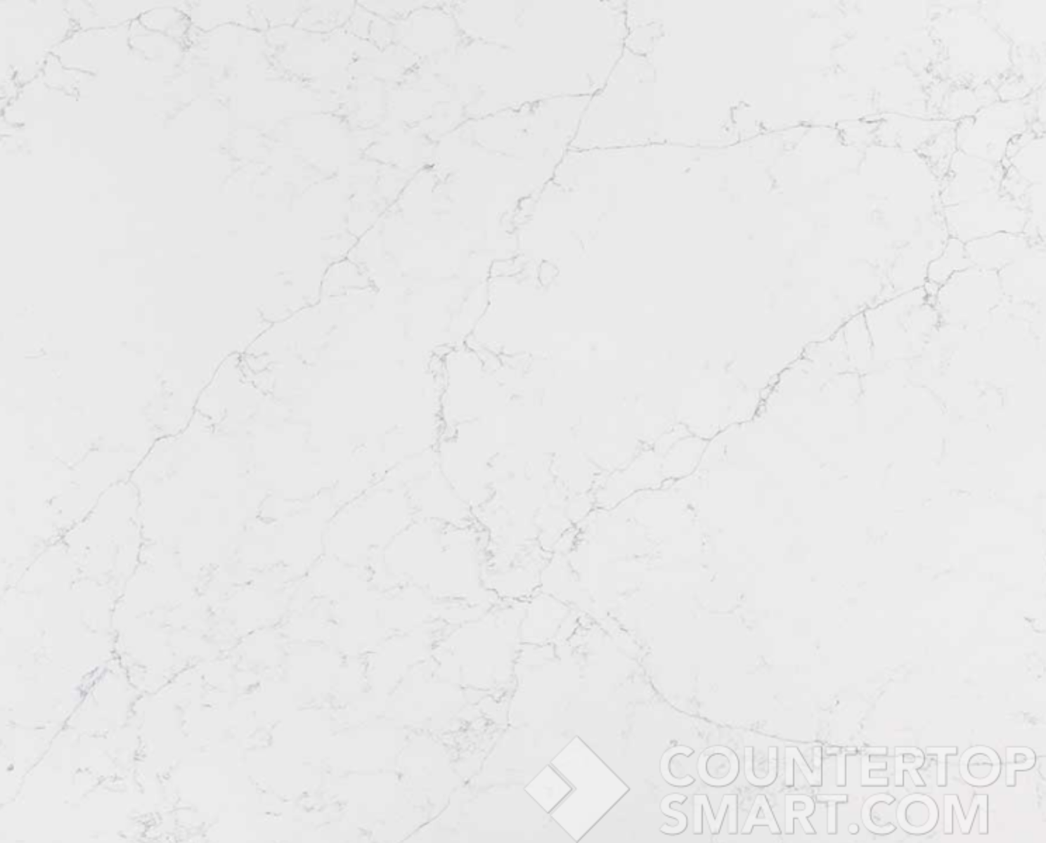 Calacatta Botanica Quartz Countertop Remnant 59"x36" Polished 3.0cm